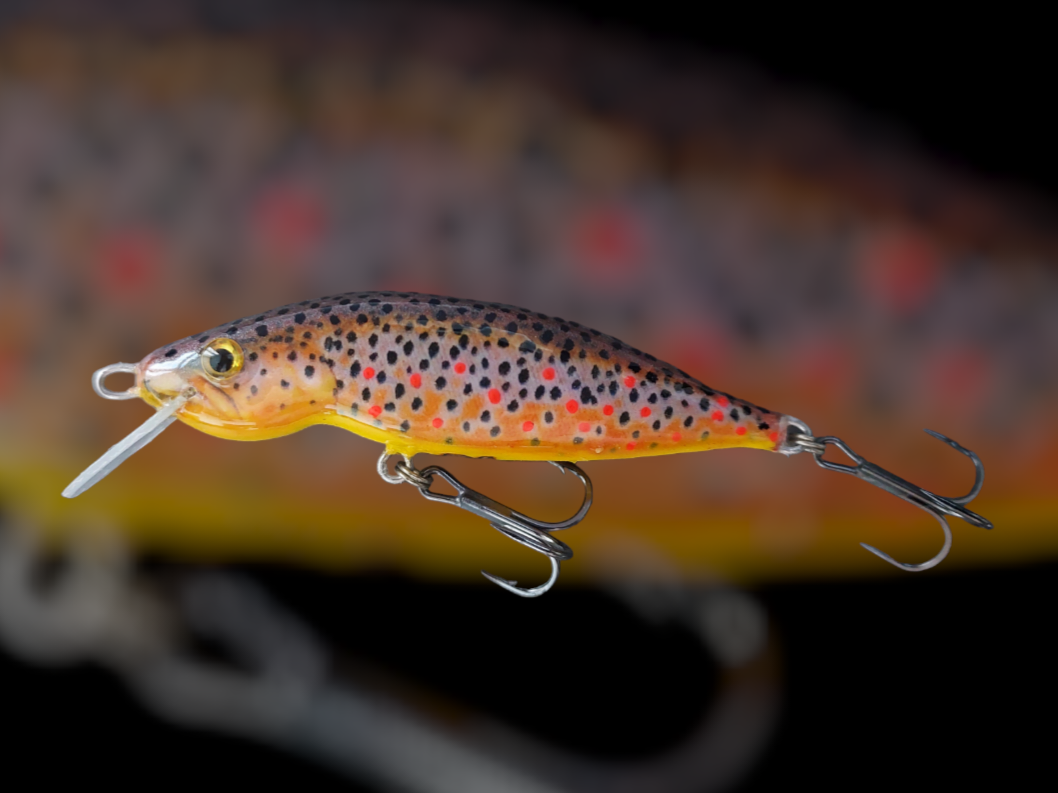 Rv Lure – Tellimine